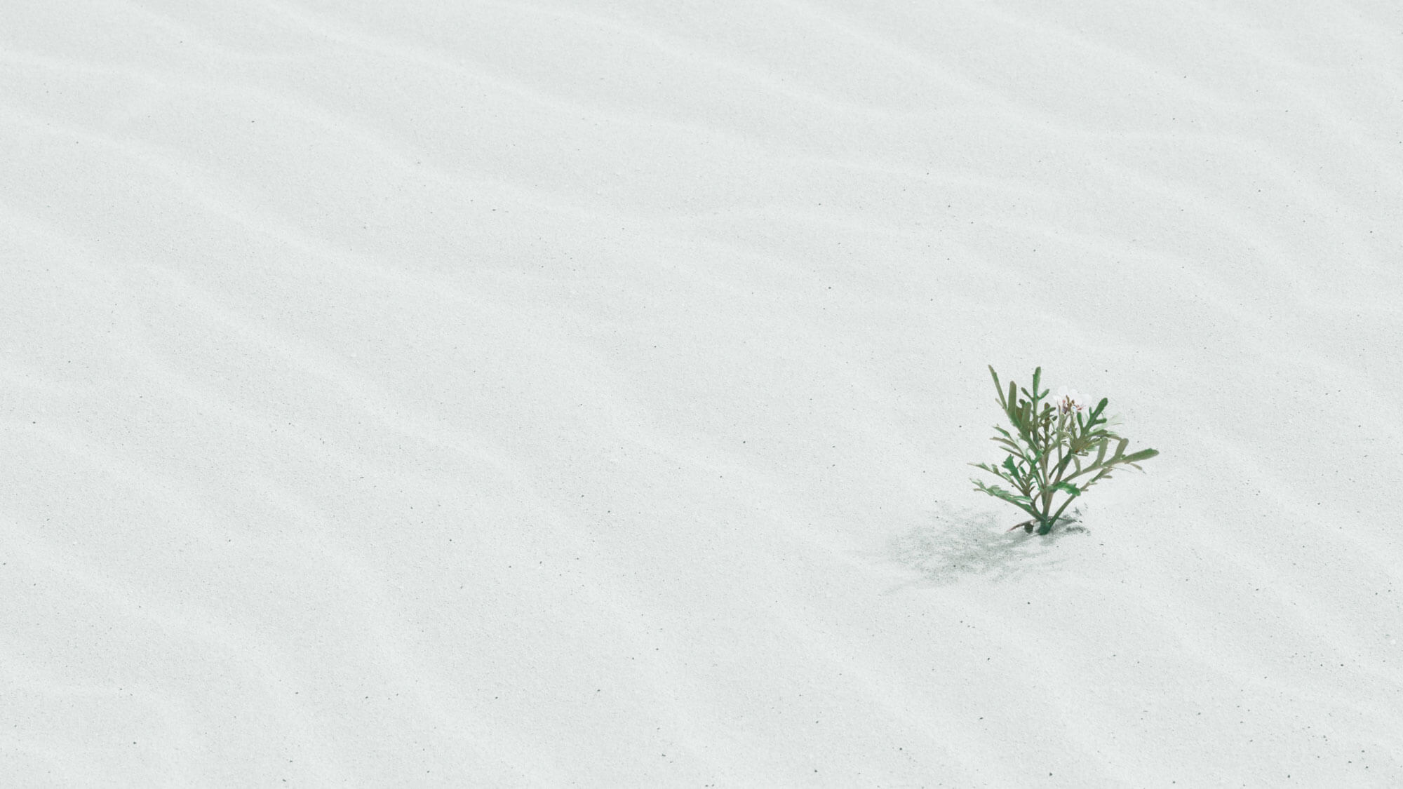 Breakthrough Innovation – What Are They, and How Do You Create One?