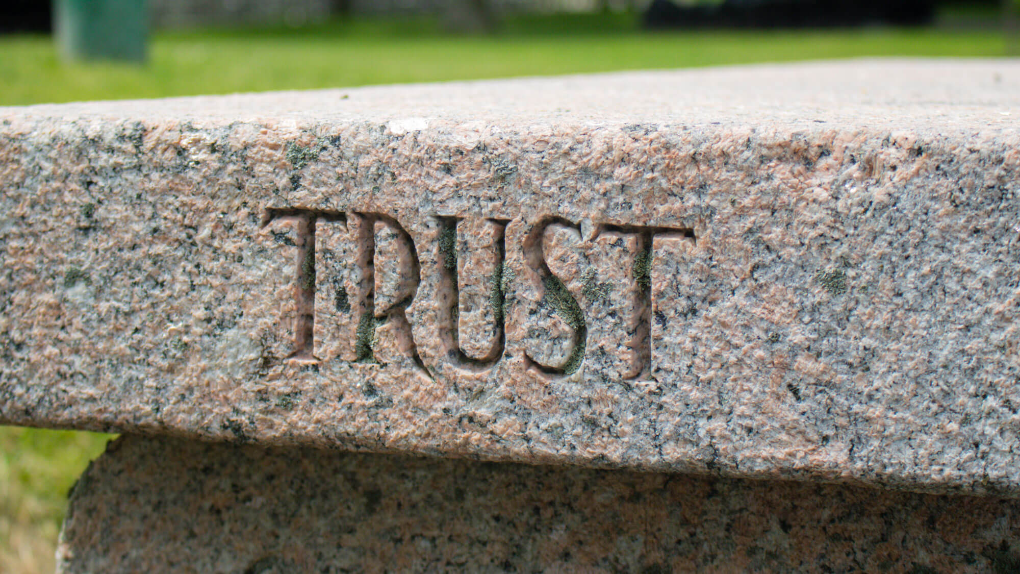 Building Trust to Drive Innovation