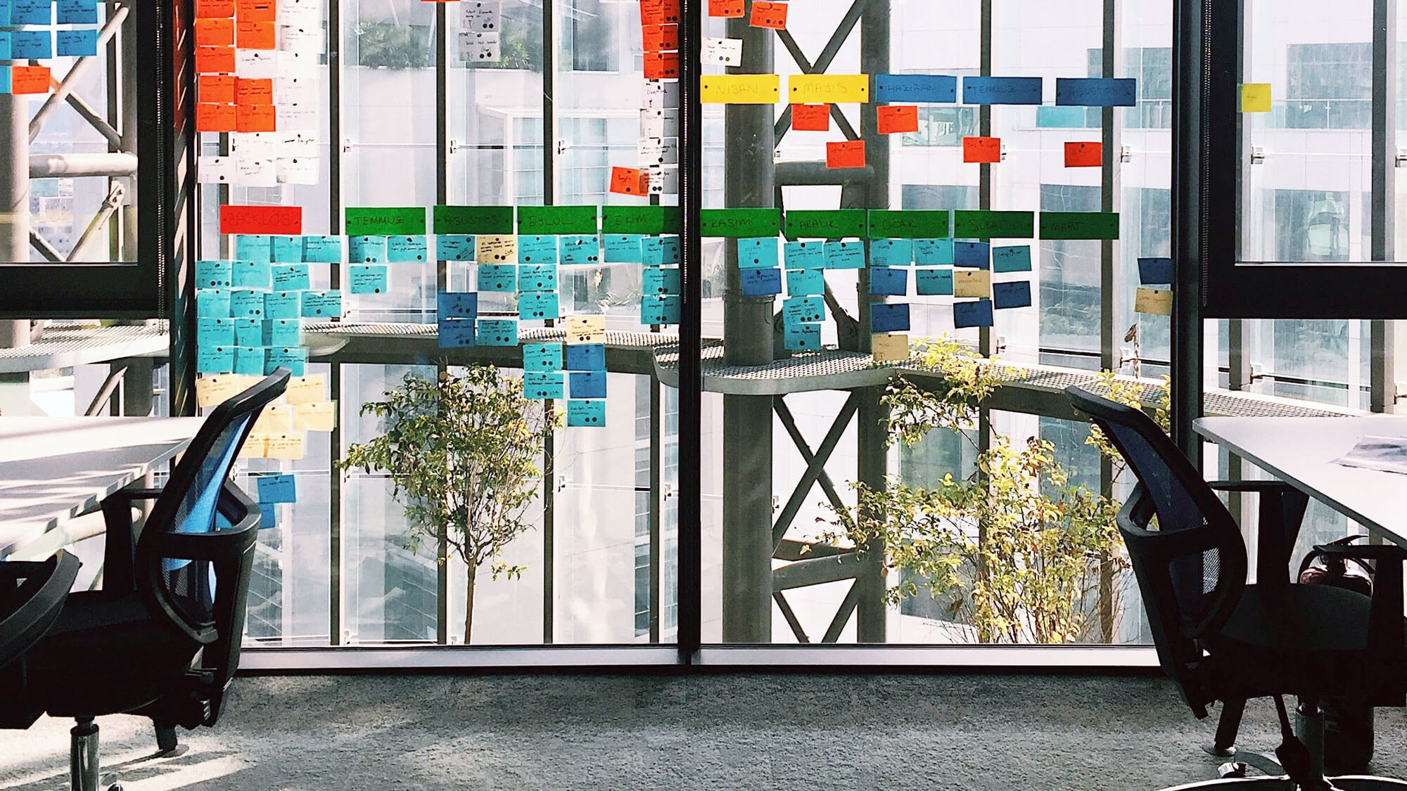 Building an Agile & Innovative Organization