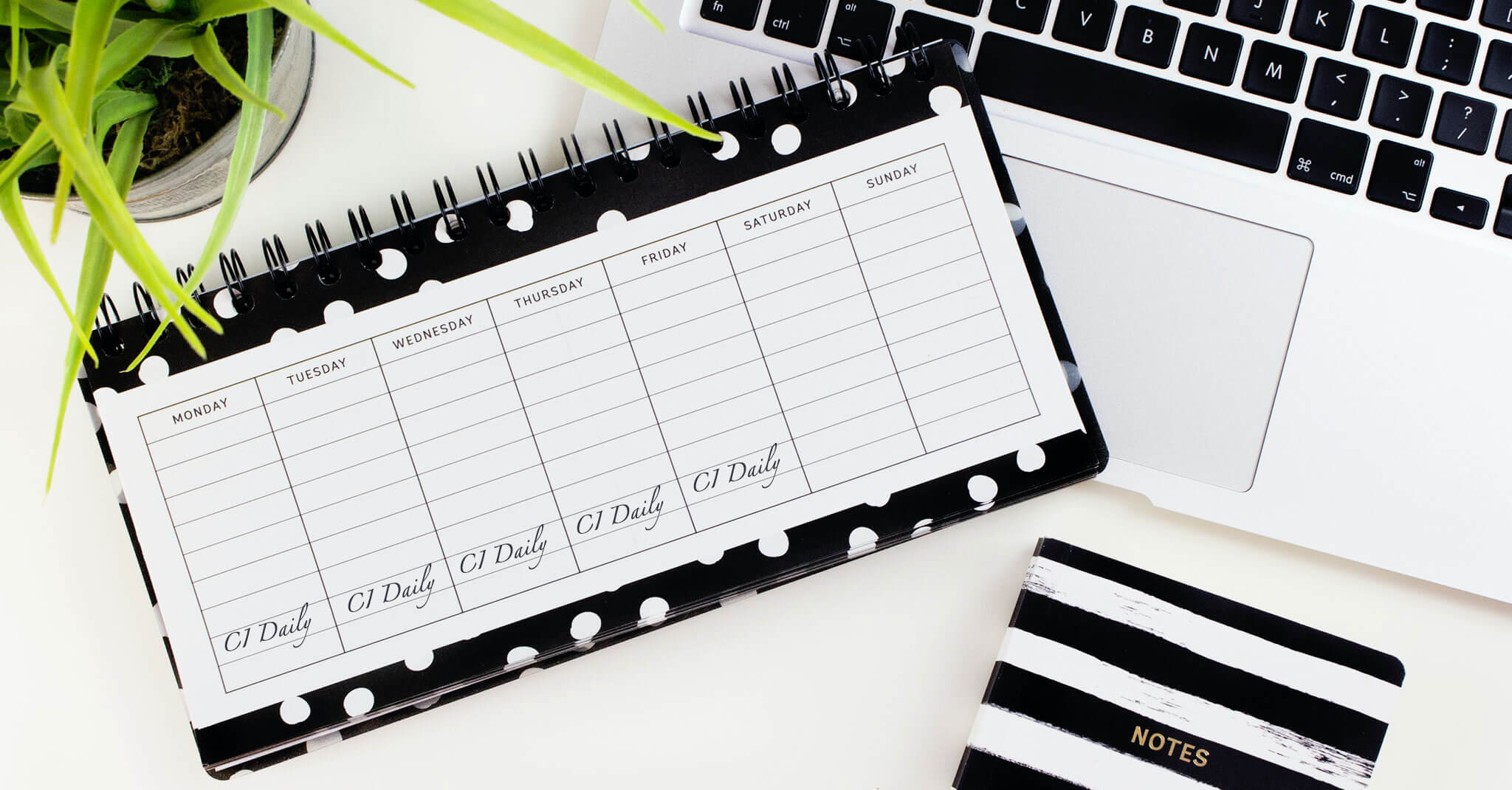 The Ultimate Guide to Continuous Improvement