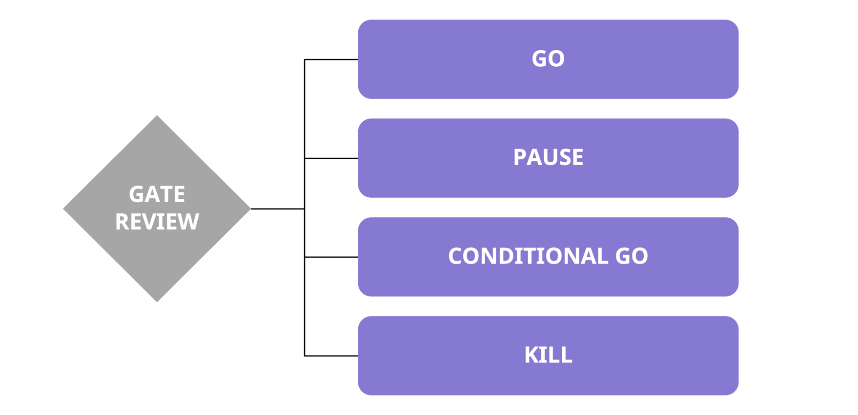 The Ultimate Guide to the Phase-Gate Process