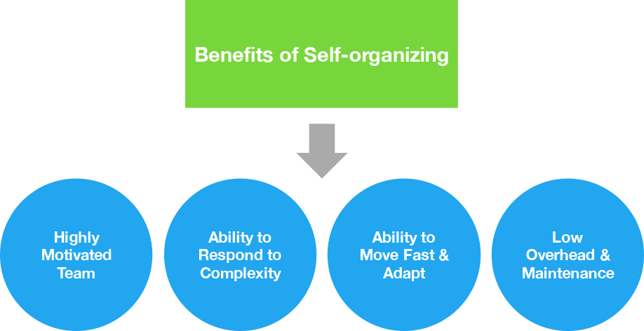 When to Use Self-organizing Teams?
